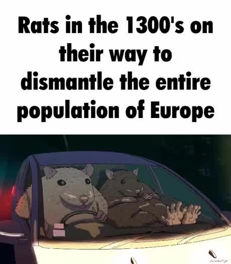 Rats in the 1300s - Meme by Peporap :) Memedroid