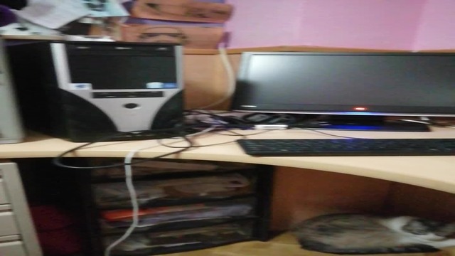 Gato computador - Meme subido por Negrubis :) Memedroid