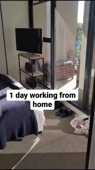 Wfh fun - Meme by avegfoul :) Memedroid