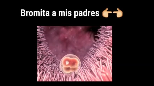 Durísimo Hermano Bromita Modo Gamer - Meme subido por Danielnyan ...