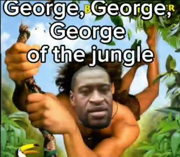 George George George of the Jungle, watch out for that knee - Meme by ...