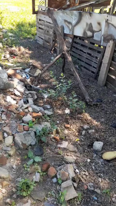 Esta es la verdadera razón porque que UsuarioCorriente es siempre ...