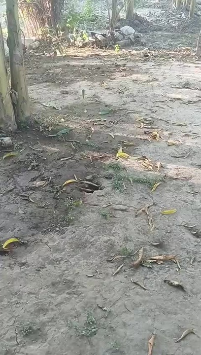 un buen palo - Meme subido por aristerv :) Memedroid