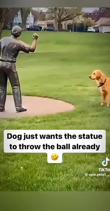 Come on - Meme by trivinzelda :) Memedroid