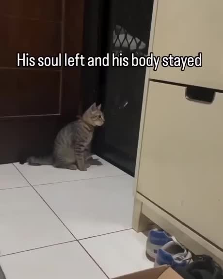 control copy cat - Meme by daizehyug :) Memedroid