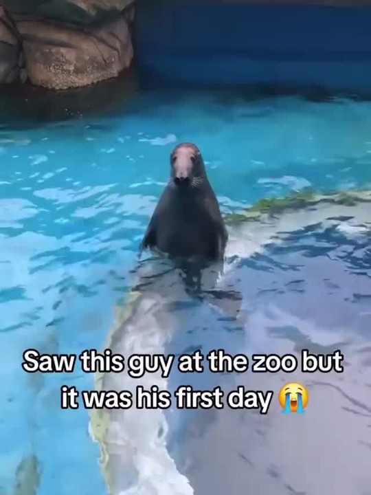 First day at the zoo - Meme by SweetCeci :) Memedroid