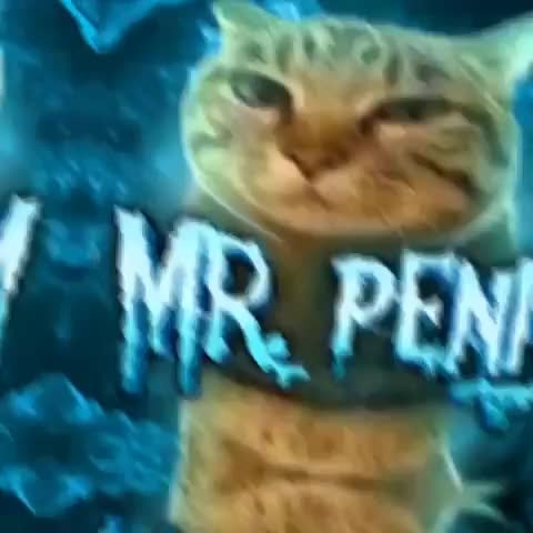 gato webón - Meme subido por suicid3xxx :) Memedroid