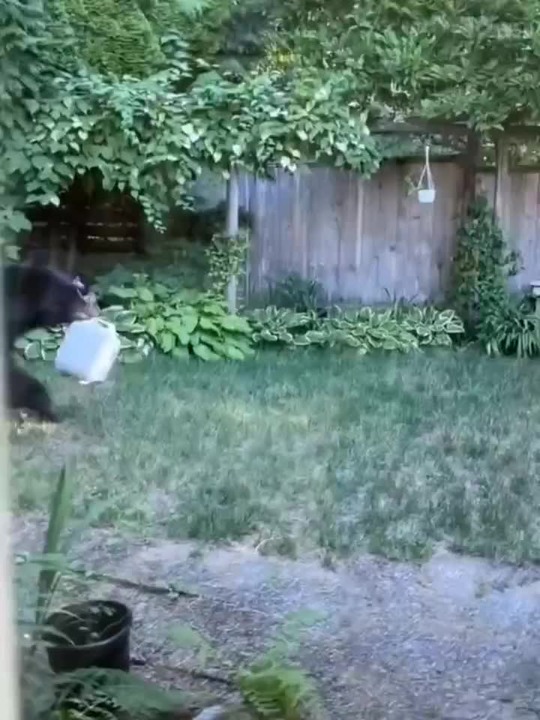 Smooth - Meme by RustyCuyler :) Memedroid