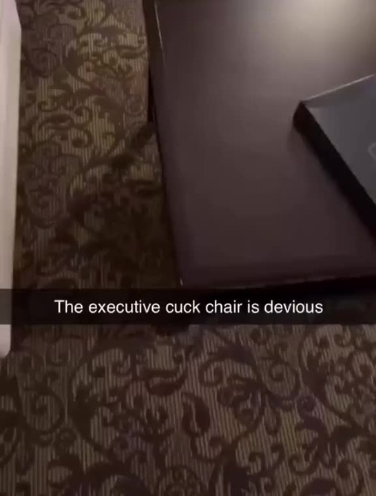 cuck ultra 4k UHD - Meme by alexrichmond :) Memedroid