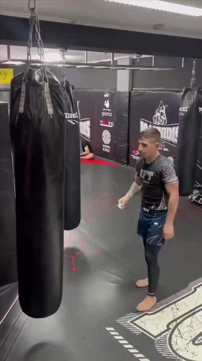 the proper training brings a profit - Meme by HelgiTheHaggard :) Memedroid