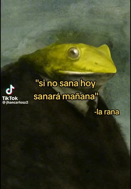 la rana - Meme subido por rogarba :) Memedroid