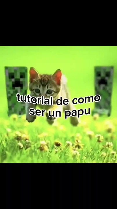 ya sabes cómo ser un papu - Meme subido por mateoxd2090 :) Memedroid