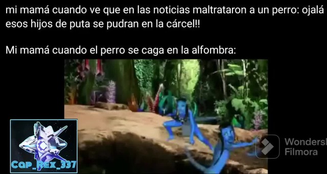 Perros... - Meme subido por Bdifbemzyen :) Memedroid