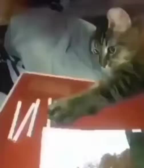 Vibing - Meme by Knot_daddy :) Memedroid