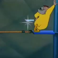 Wile E. Spikey - Meme by CampingIsStrategy :) Memedroid