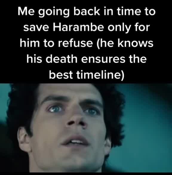 Harambe - Meme by Sionis12 :) Memedroid