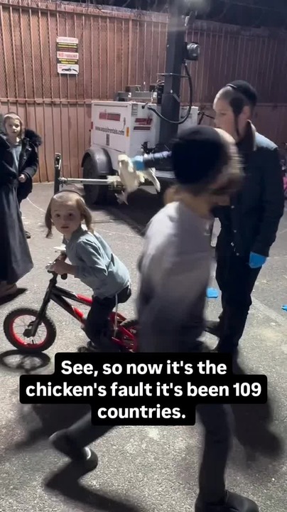 Chicken - Meme subido por Mr.Gimli :) Memedroid