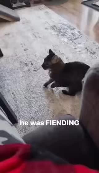 Fiending - Meme by Knot_daddy :) Memedroid