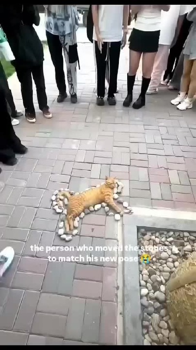 Sla kk - Meme by Catzinho :) Memedroid