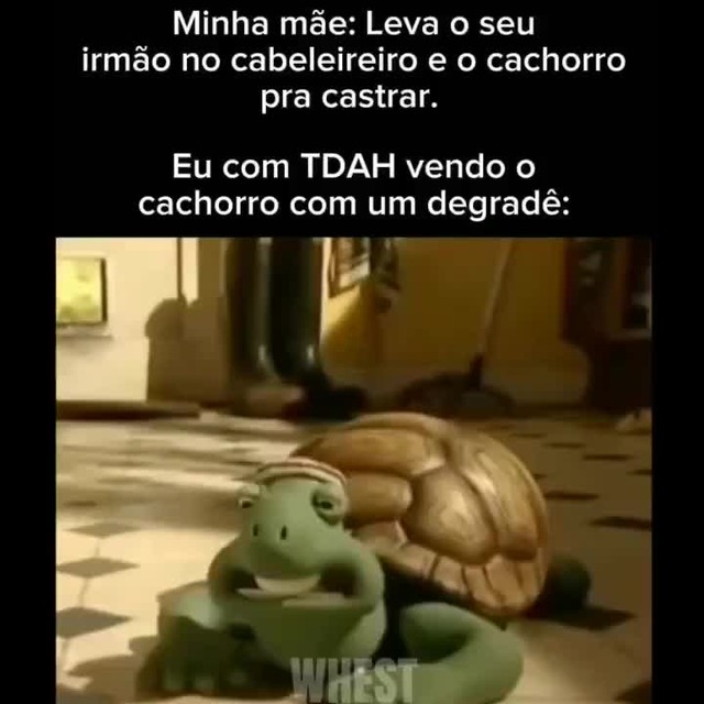 Pqp de novo - Meme by Catdroid :) Memedroid