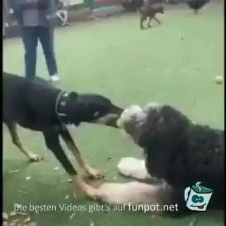 Aprovecha el bug - Meme by trollcata :) Memedroid