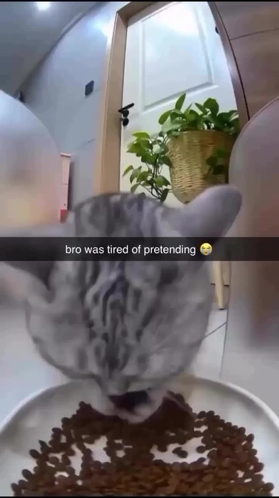 Behold, a featherless bipod! - Meme subido por Mireska :) Memedroid