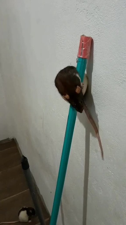 Queeeeee - Meme subido por PaseSetsoLoL :) Memedroid