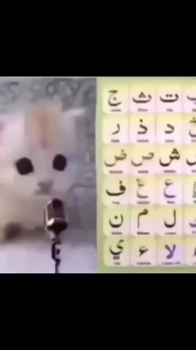 Arabic - Meme subido por PaseSetsoLoL :) Memedroid