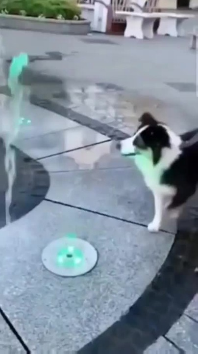 Rookie Mistake Meme By Coloncancer Memedroid