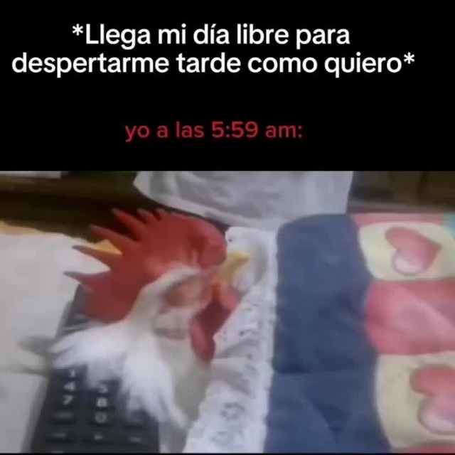 Despertandome en mi día libre - Meme subido por TaRiSTAn :) Memedroid