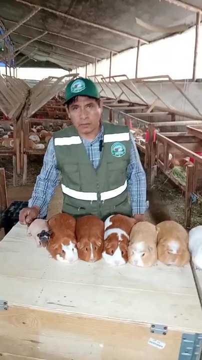 Elige tu cobaya - Meme by xWolfxZ :) Memedroid