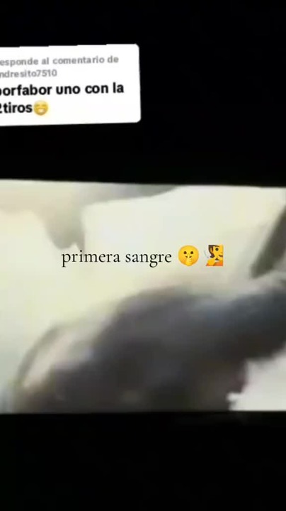 Fri fay - Meme subido por vicecity123f :) Memedroid