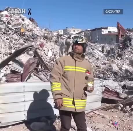 Bombero salva a gatito y lo adopta - Meme subido por momentox :) Memedroid