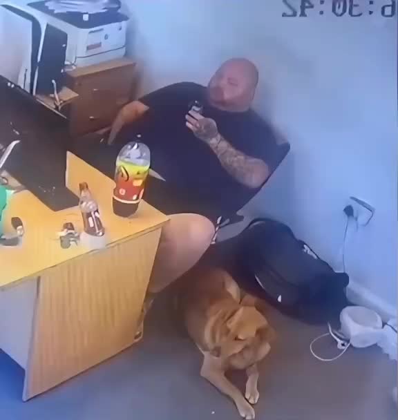 cualquier memedroid cuando termina su jornada laborar de ver memes ...