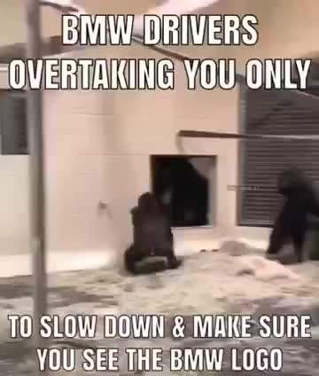 Bmw drivers - Meme by Knot_daddy :) Memedroid