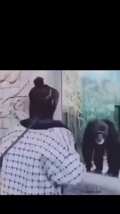 Mi compa - Meme by Emememme :) Memedroid