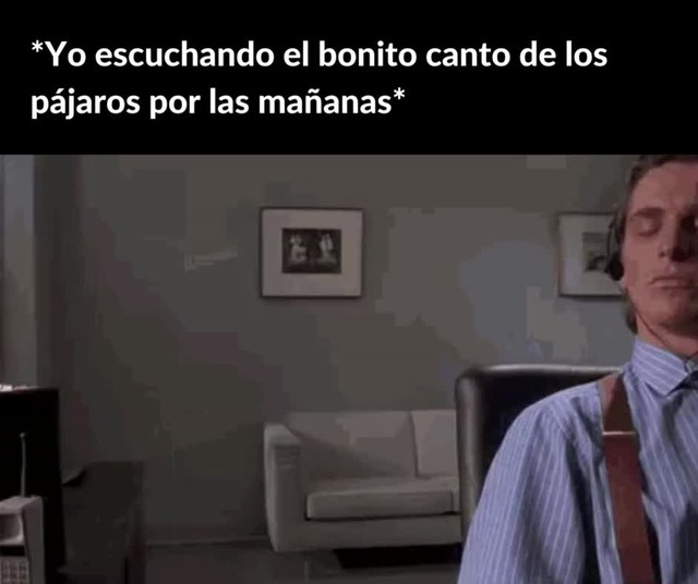 Escuchando el bonito canto de los pájaros por la mañana - Meme subido ...