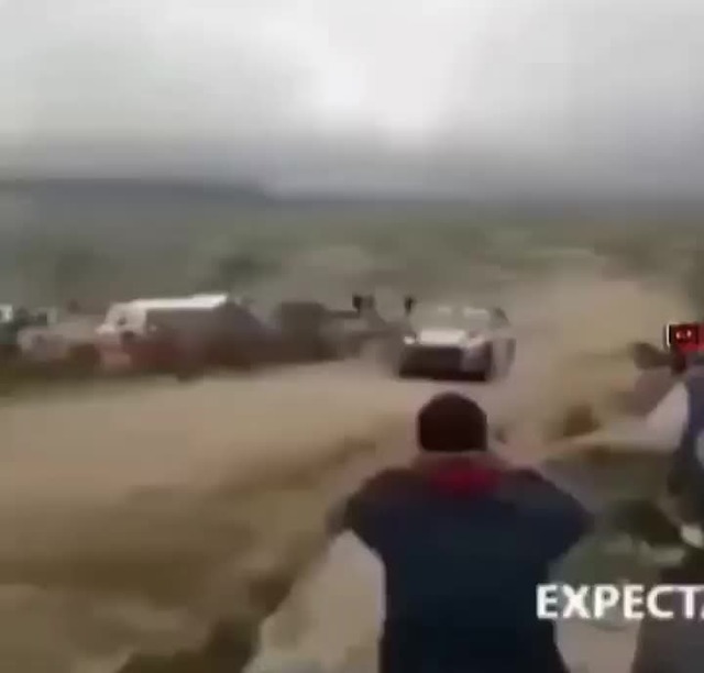 Run forest - Meme by TheToxicFrog :) Memedroid