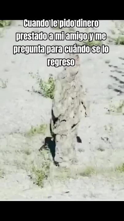 pidiendo dinero así - Meme subido por Holaqtalbien :) Memedroid