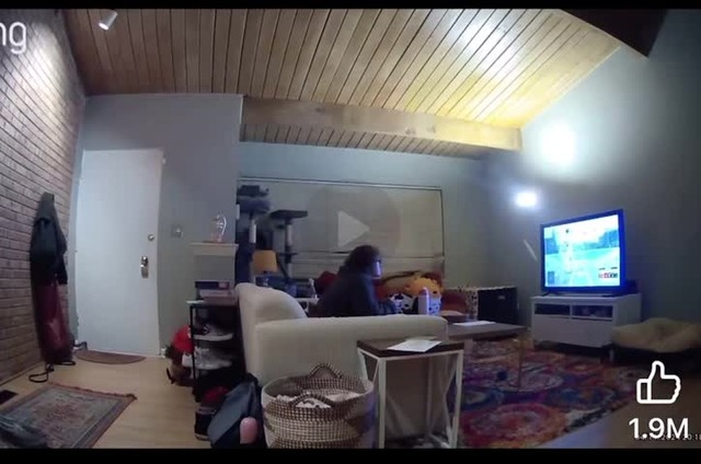 gato sale volando - Meme by wizard :) Memedroid