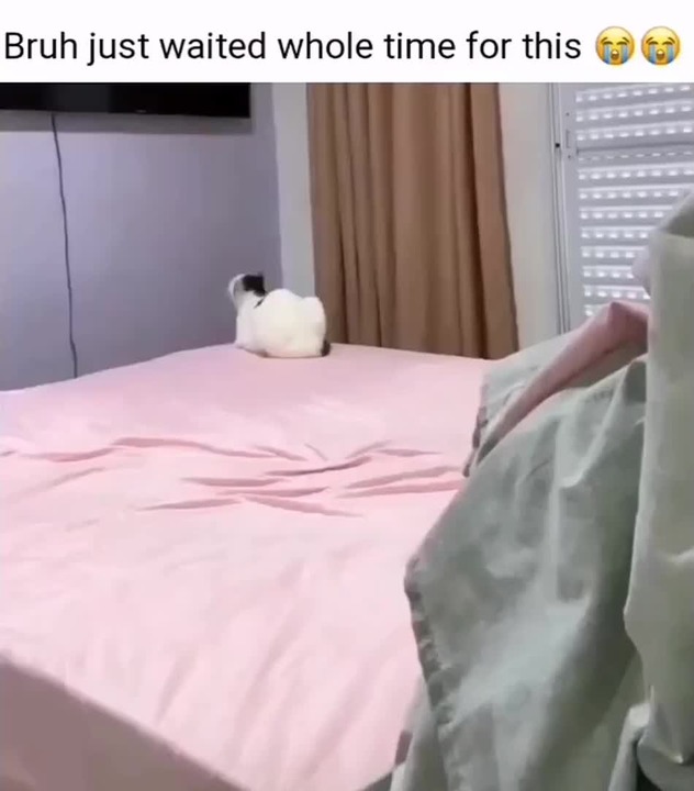 Plotting - Meme by ColonCancer :) Memedroid