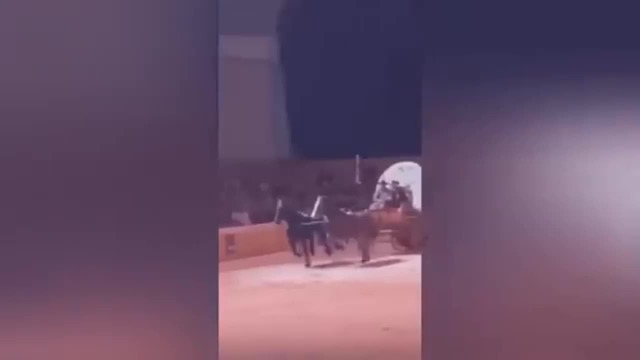 En mi opinion asi es mas comodo - Meme subido por Elweydelosmems ...