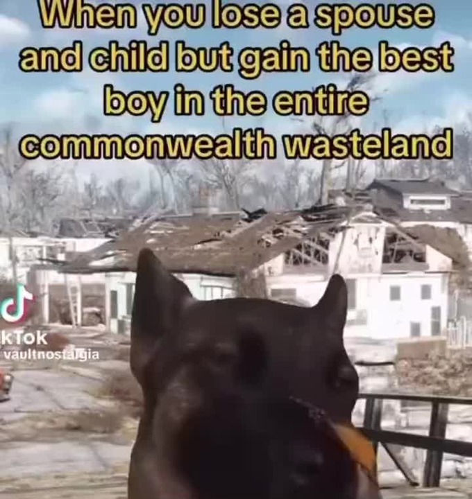 Best doggo in the Commonwealth - Meme by H00man :) Memedroid