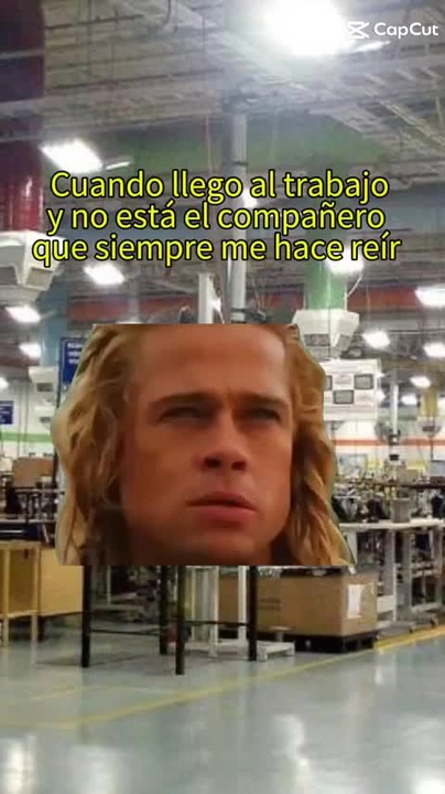 Ese compañero irremplazable - Meme subido por Ochoa153 :) Memedroid