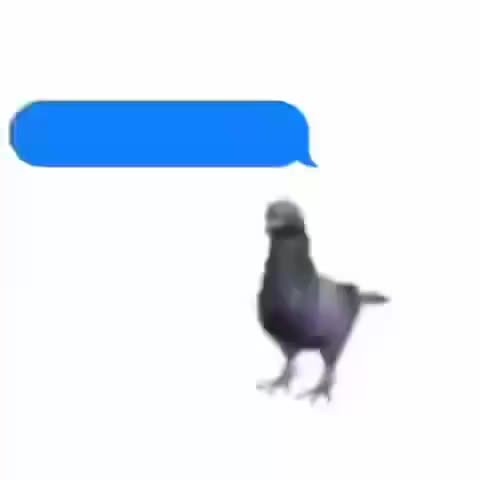 Pombo - Meme by LetRRR :) Memedroid