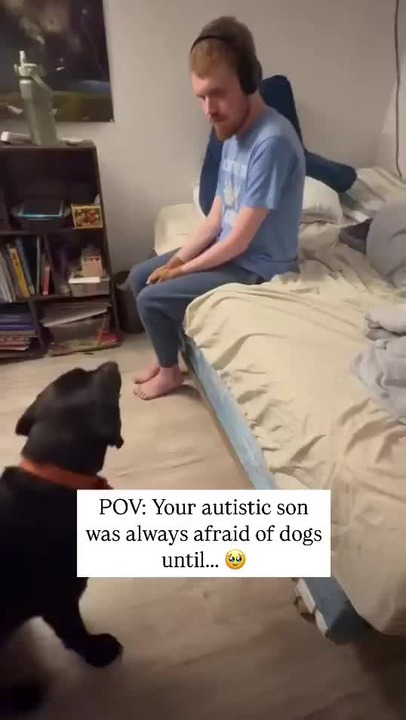 POV: He was scared of dogs… until this moment - Meme by XHEEintu :) Memedroid