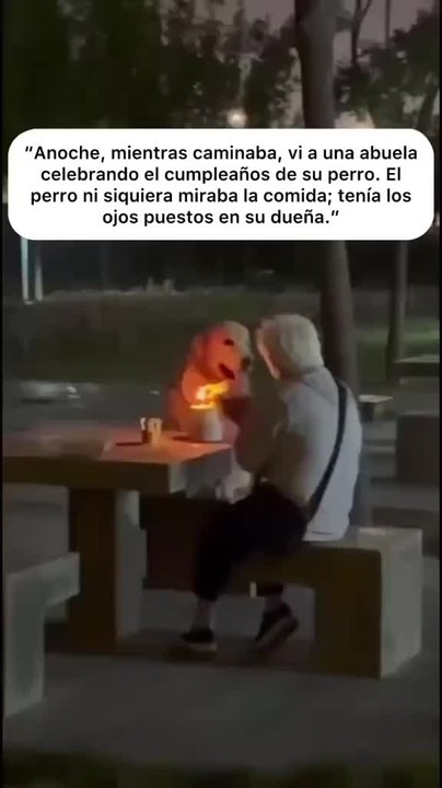 perrito ignorando pastel gracioso - Meme subido por androi35 :) Memedroid