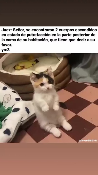 Delicioso - Meme subido por Koishi-Maiz :) Memedroid