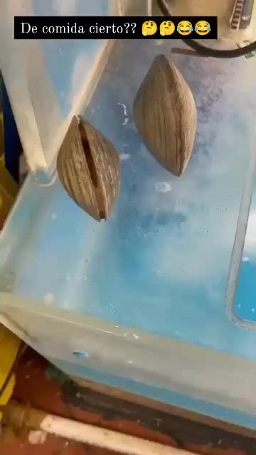 Comida - Meme subido por Sandro916 :) Memedroid