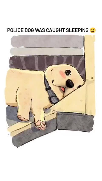 police dog was having a nap - Meme by TheNoiseIsReal :) Memedroid